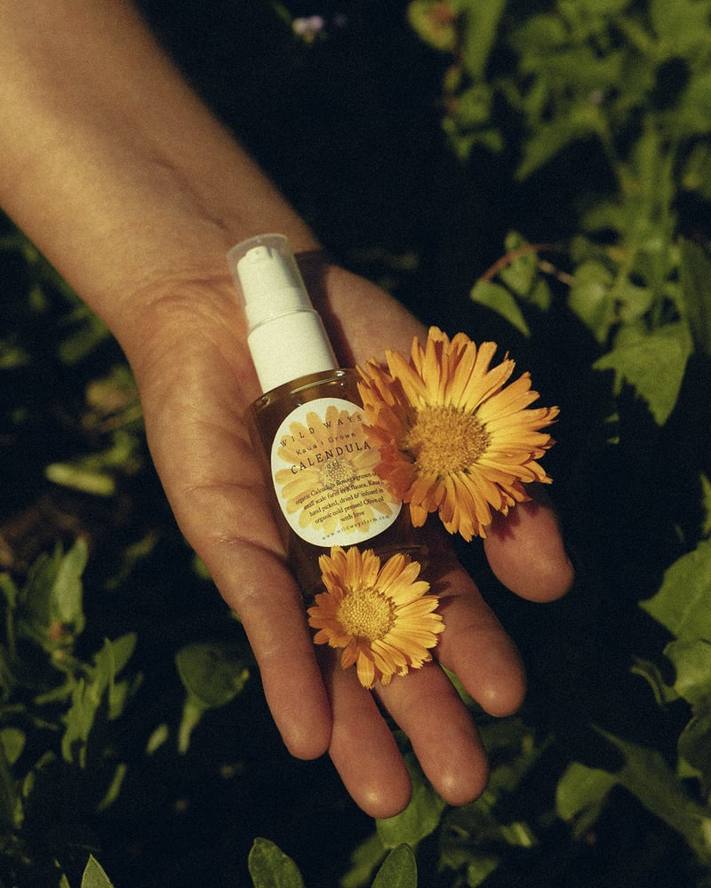 Calendula Oil – Wild Ways Family Farm